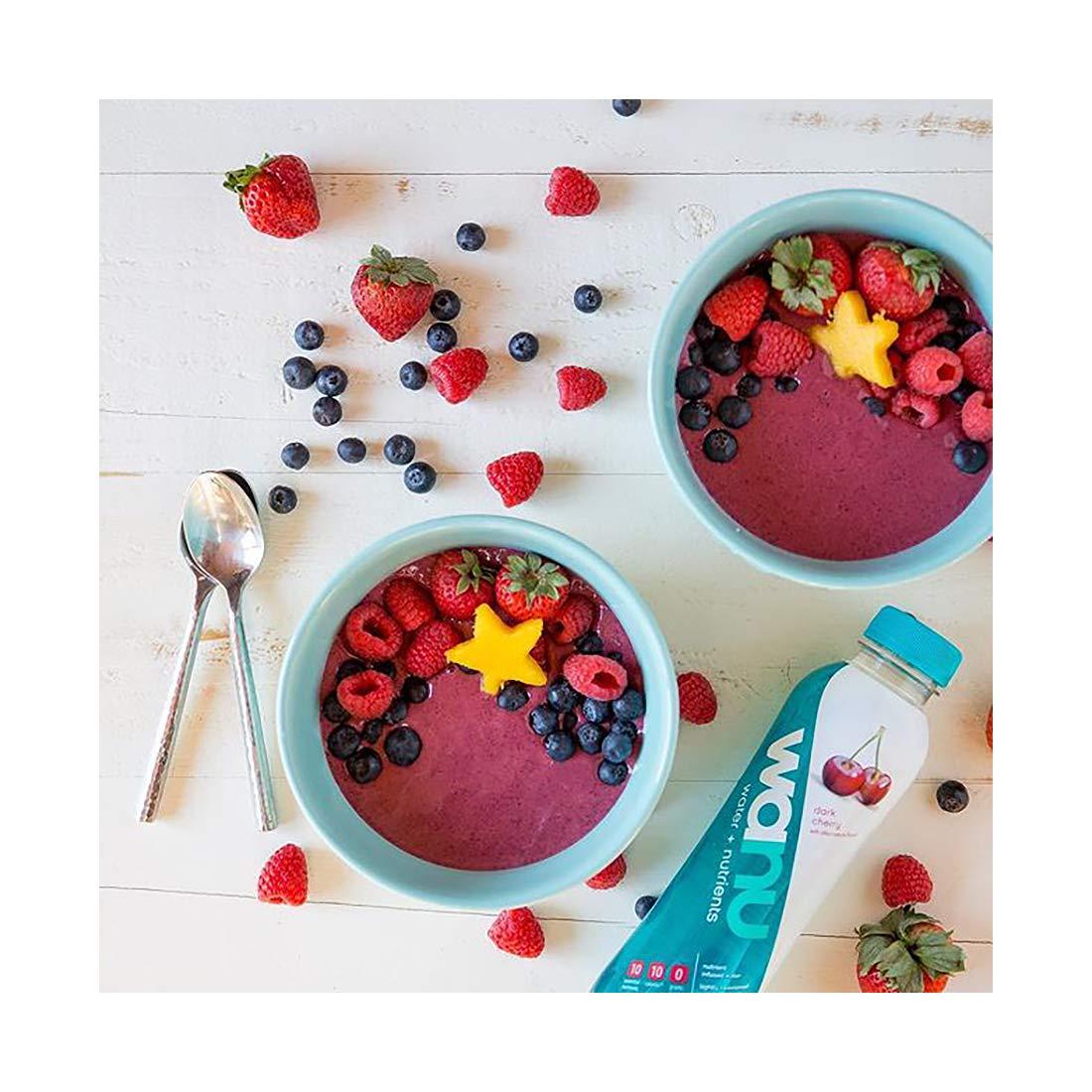 Wanu Water Prebiotic Fiber & Nutrient Infused Flavored Water Variety ...