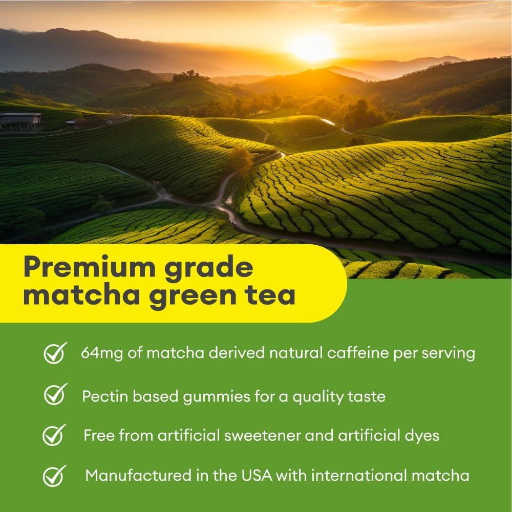 Premium Matcha Green Tea Extract Gummies - Vegan Gluten-Free Non-GMO ...