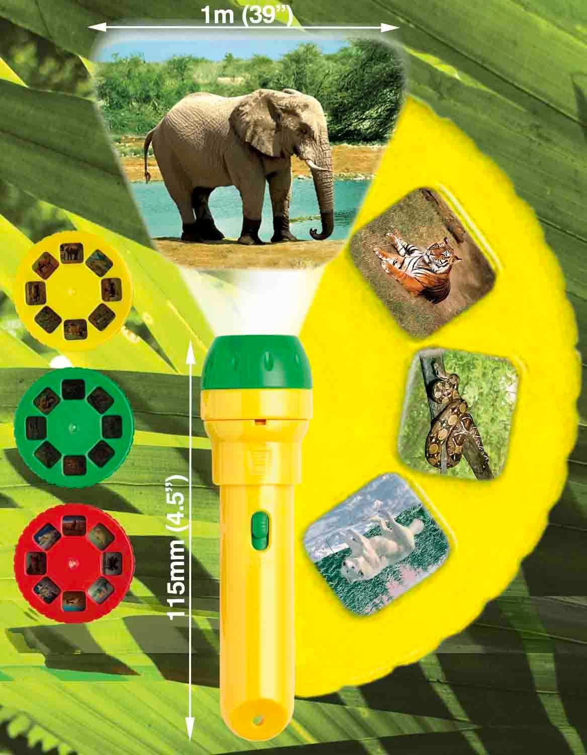 Brainstorm Toys Animal Torch and Projector - Educational & Fun Kids Toy ...