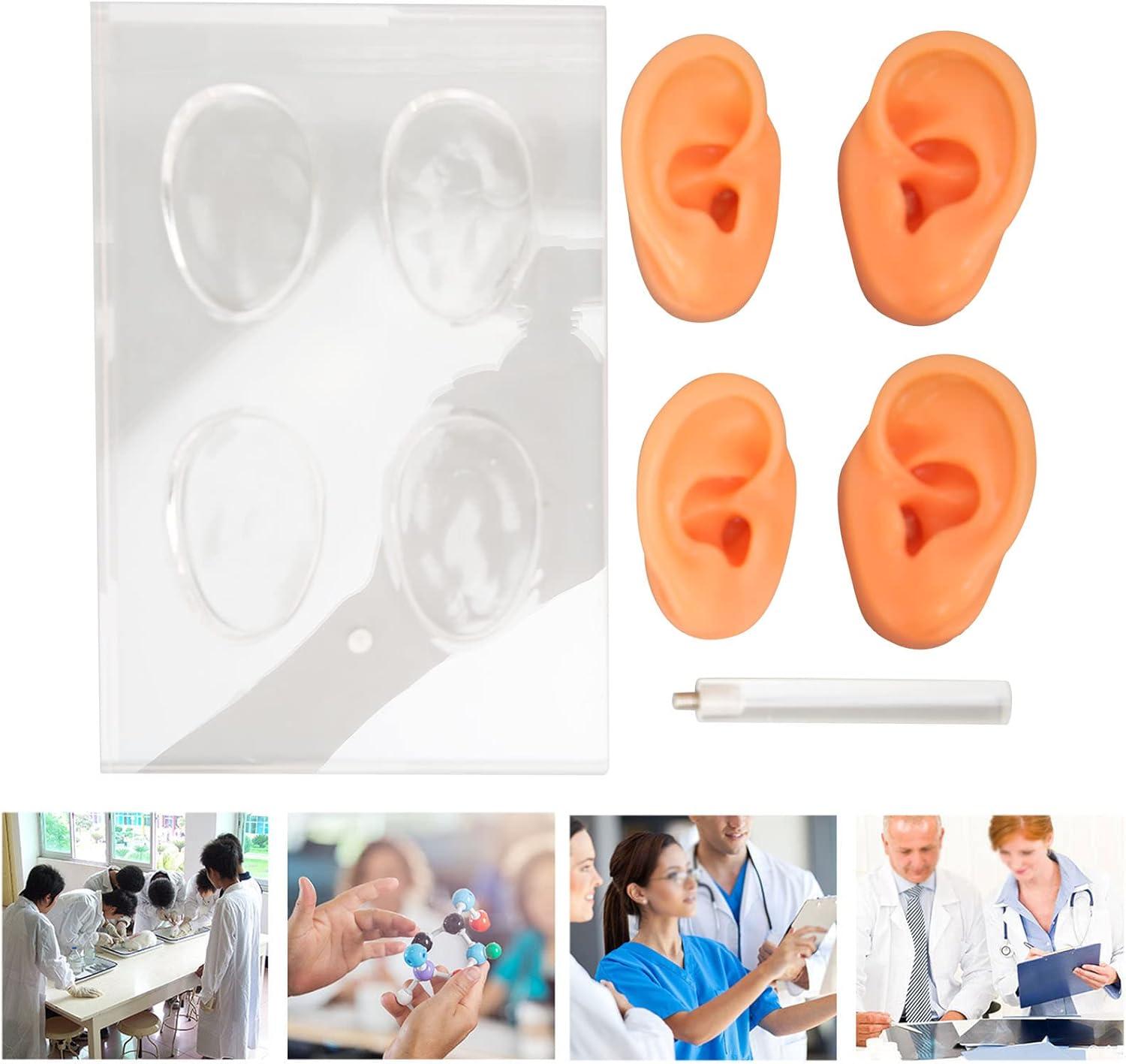 Ear Display Mold Human Ear Model Real Skin Feeling Reusable Waterproof ...