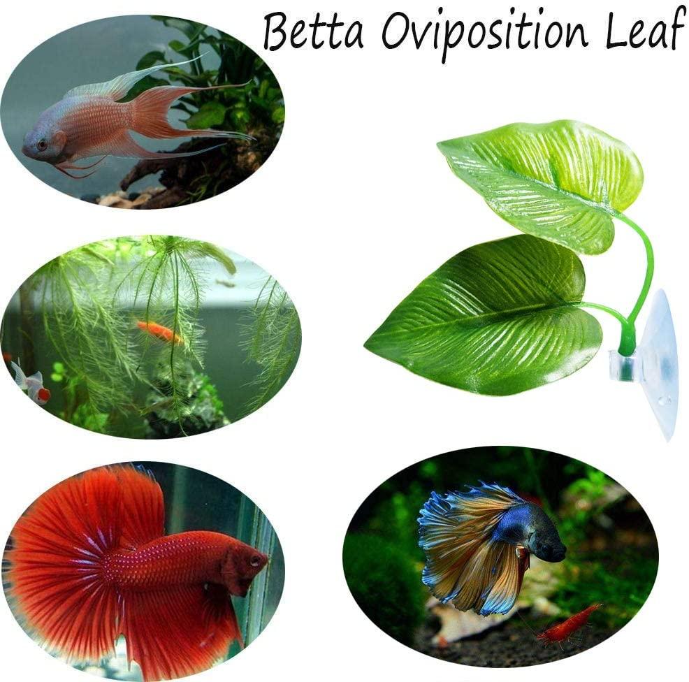 Cousduobe Betta Fish Leaf Pad - 2 Pack, Double Leaf Design for Natural ...