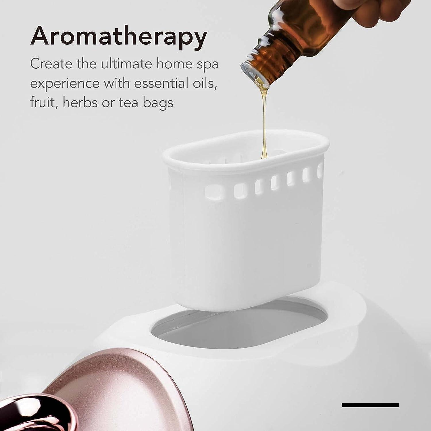 Fancii Nano Ionic Facial Steamer Hot & Cool with Aromatherapy - 30 Min ...