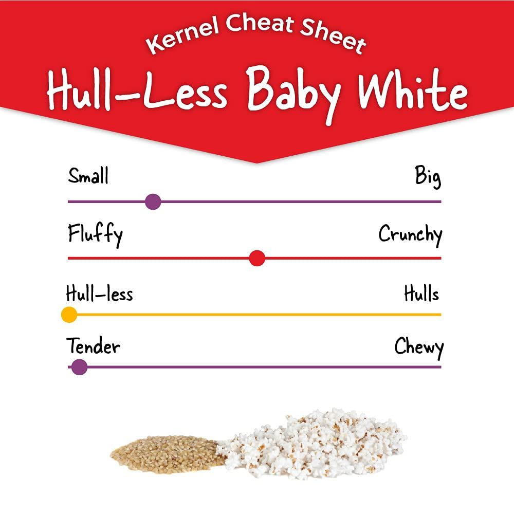 Wabash Valley Farms Hull-Less White Popcorn Kernels - 2 lb Pack | Buy ...