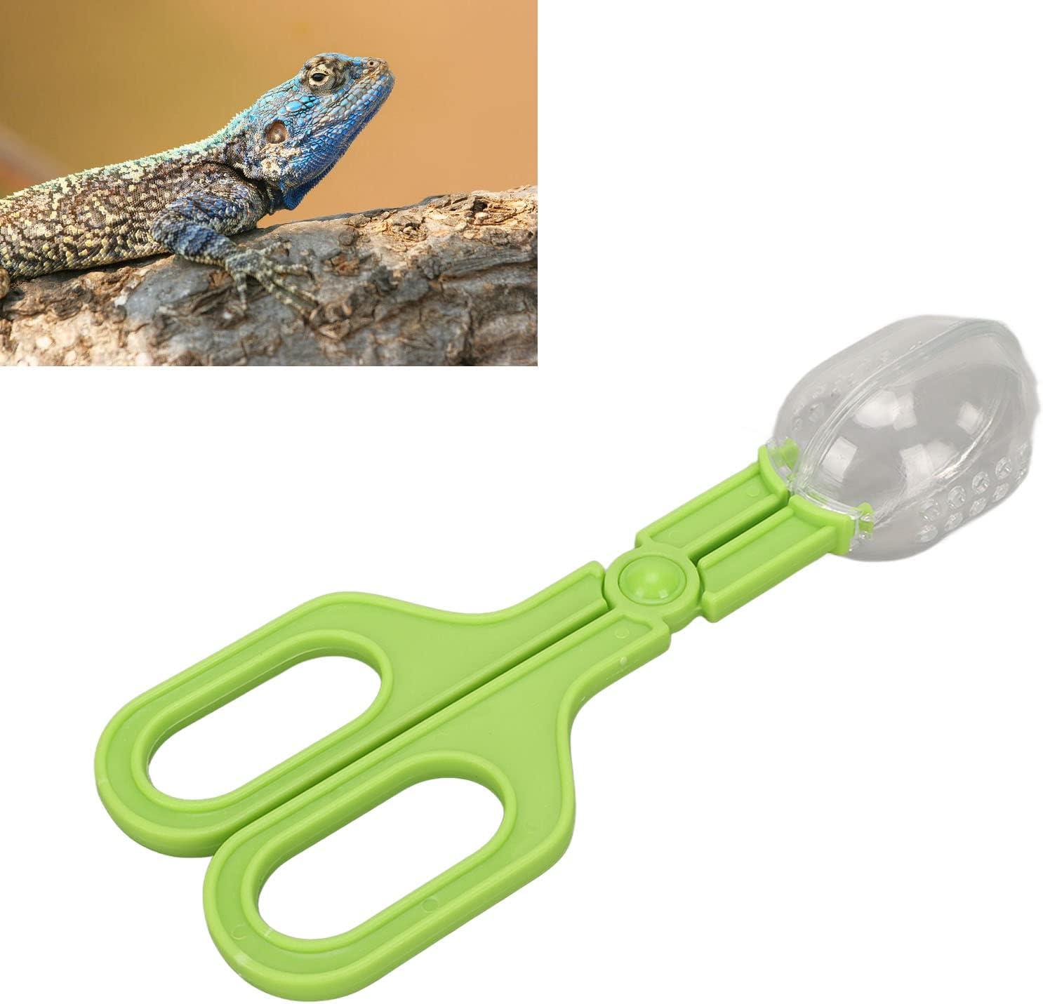 Reptile Feeding Clamp & Amphibian Terrarium Tool - Multi-Purpose Feed ...