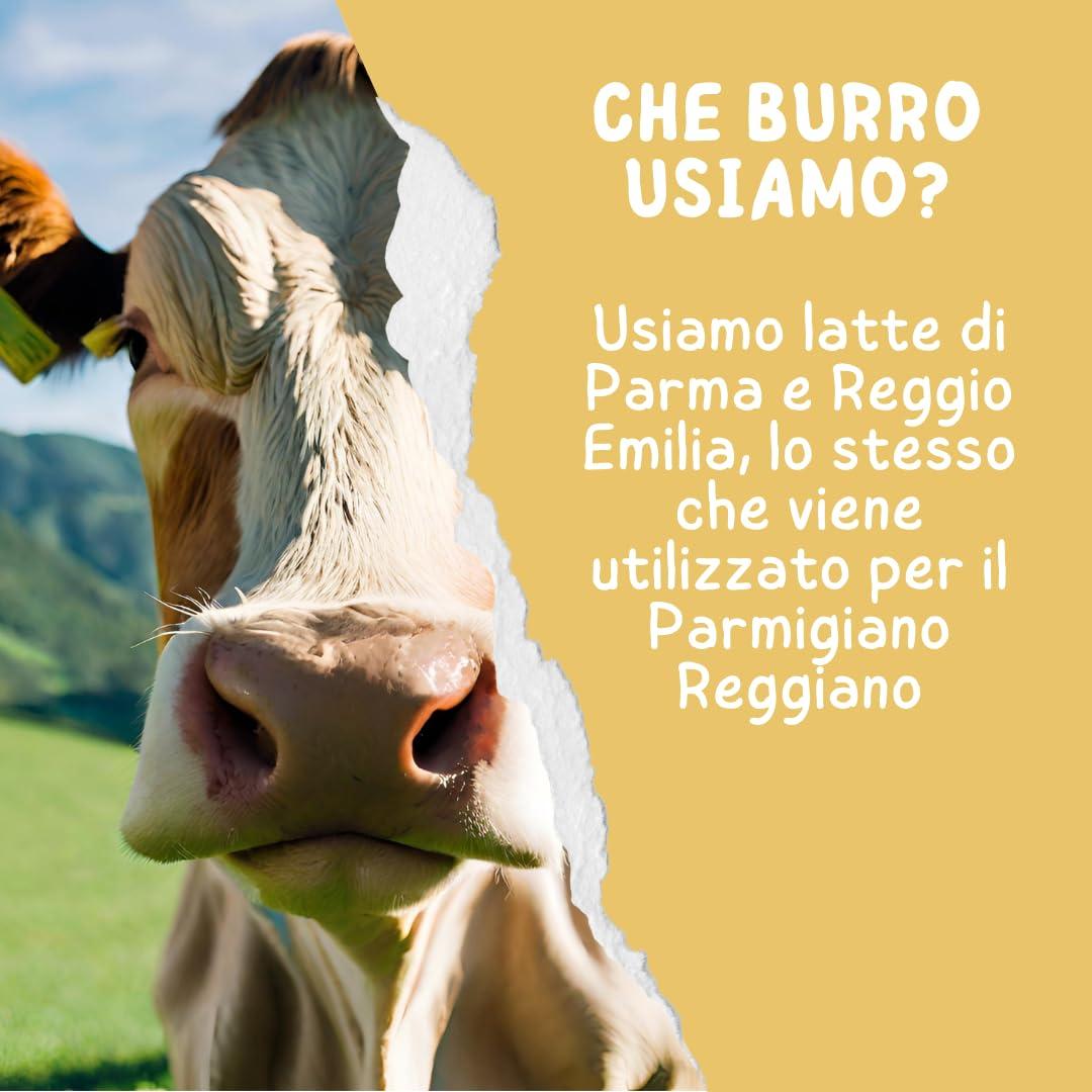 Cibo Ghee Organic Italian Clarified Butter from Parma & Reggio Emilia ...