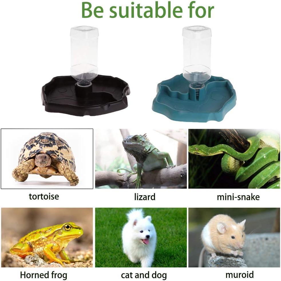 PINVNBY Reptile Food Water Bowl 2 in 1 Feeding Dish Automatic Dispenser ...