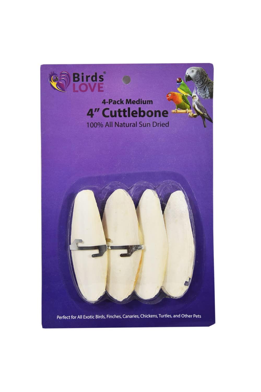Pack of 4 Medium Cuttlebones for Birds, Tortoise, Snails, and Parakeets ...