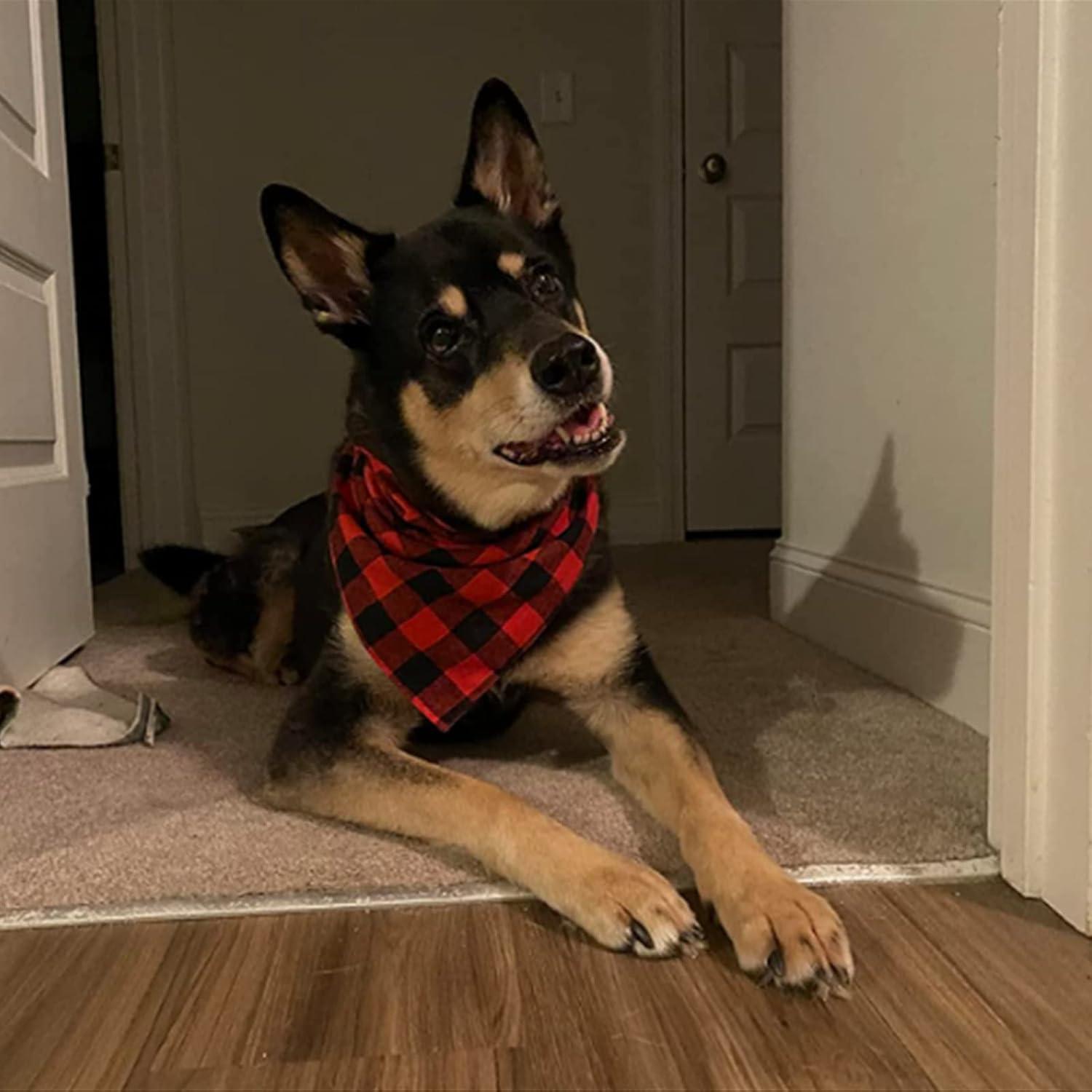 Classic Checkered Dog Bandana Set - Adjustable Cotton Neckerchiefs for ...