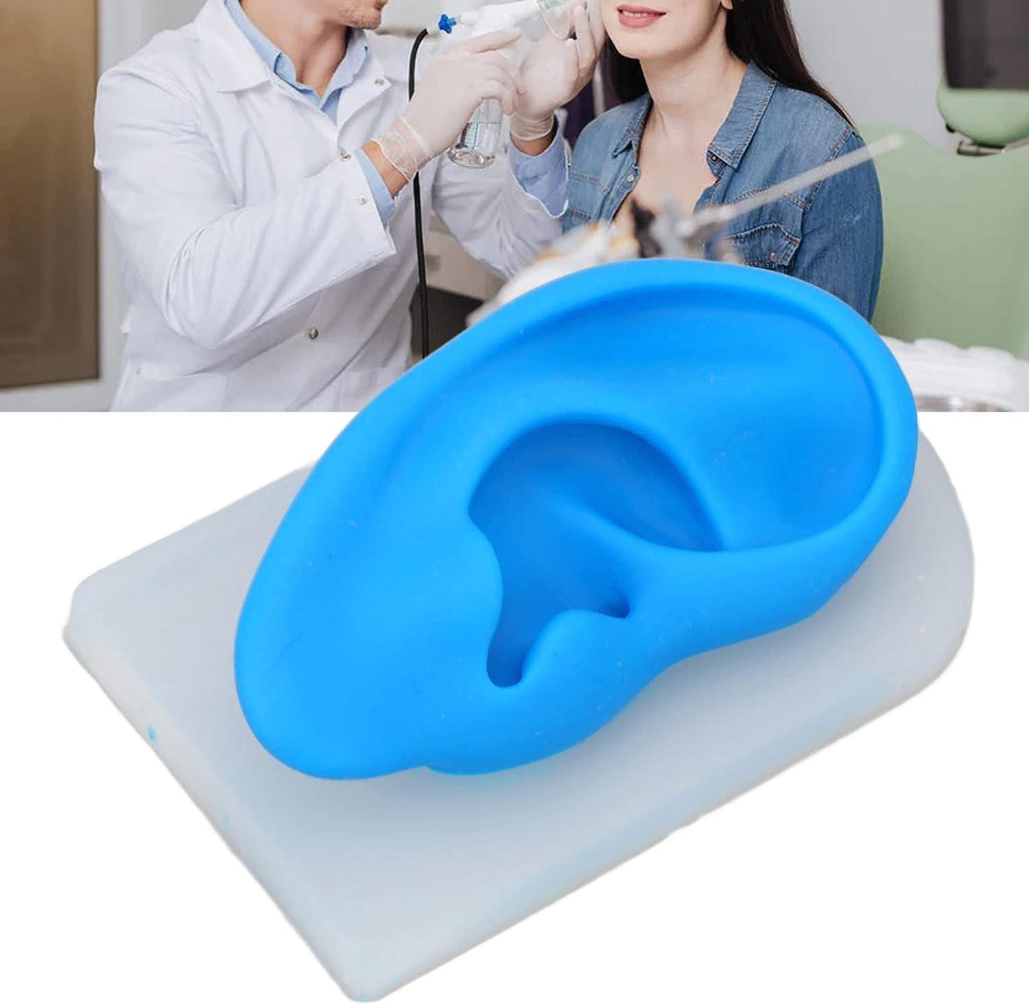 Silicone Ear Acupuncture Practice Model for Hearing Aid Display - Blue ...