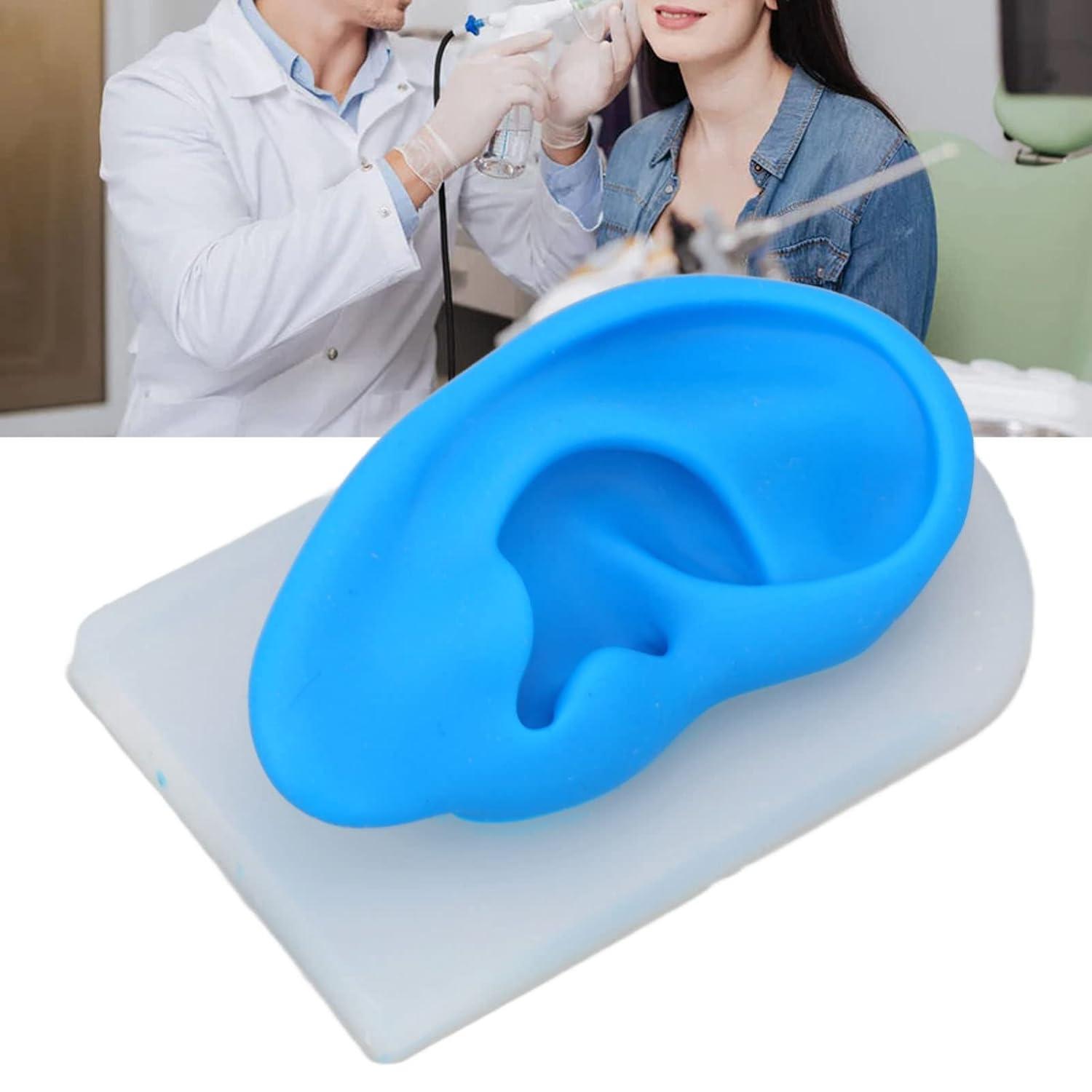 Ear Model ANGGREK Display Ear Model Soft Ear Modeling Tools Teaching Ear Model Elastic Ear ...