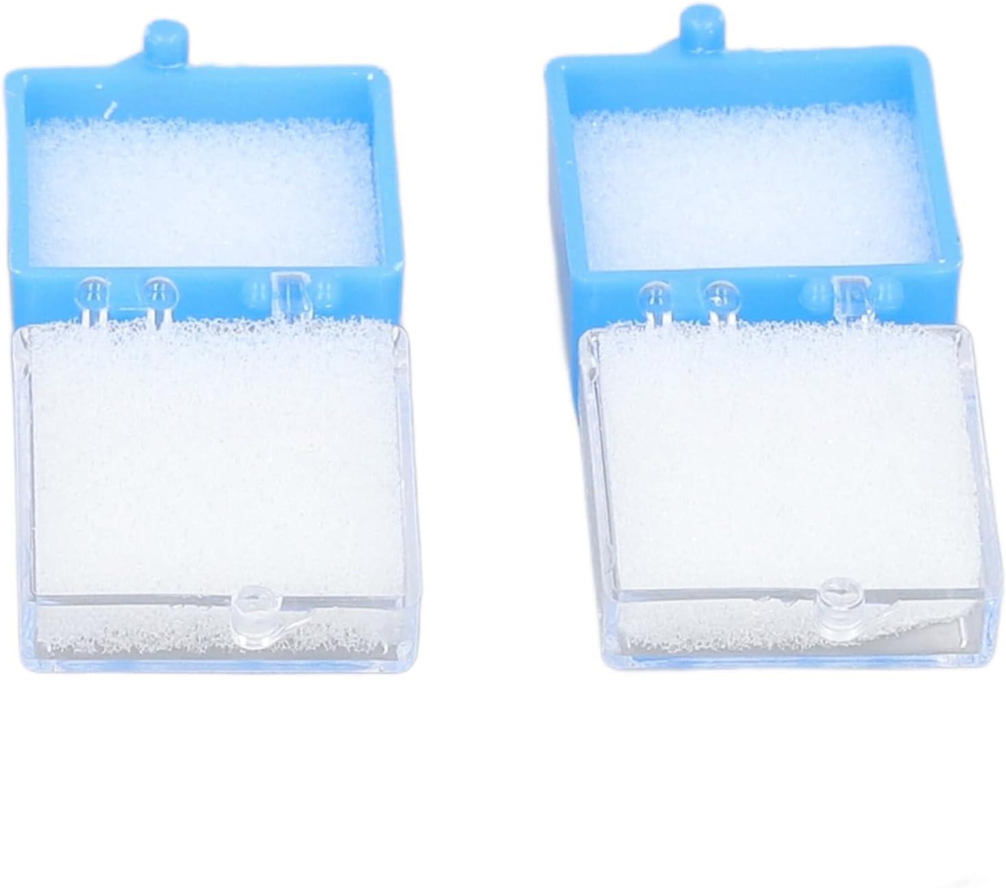 20 Tooth Crown Boxes with Foam - Plastic Tooth Bridge Kit for Dental ...