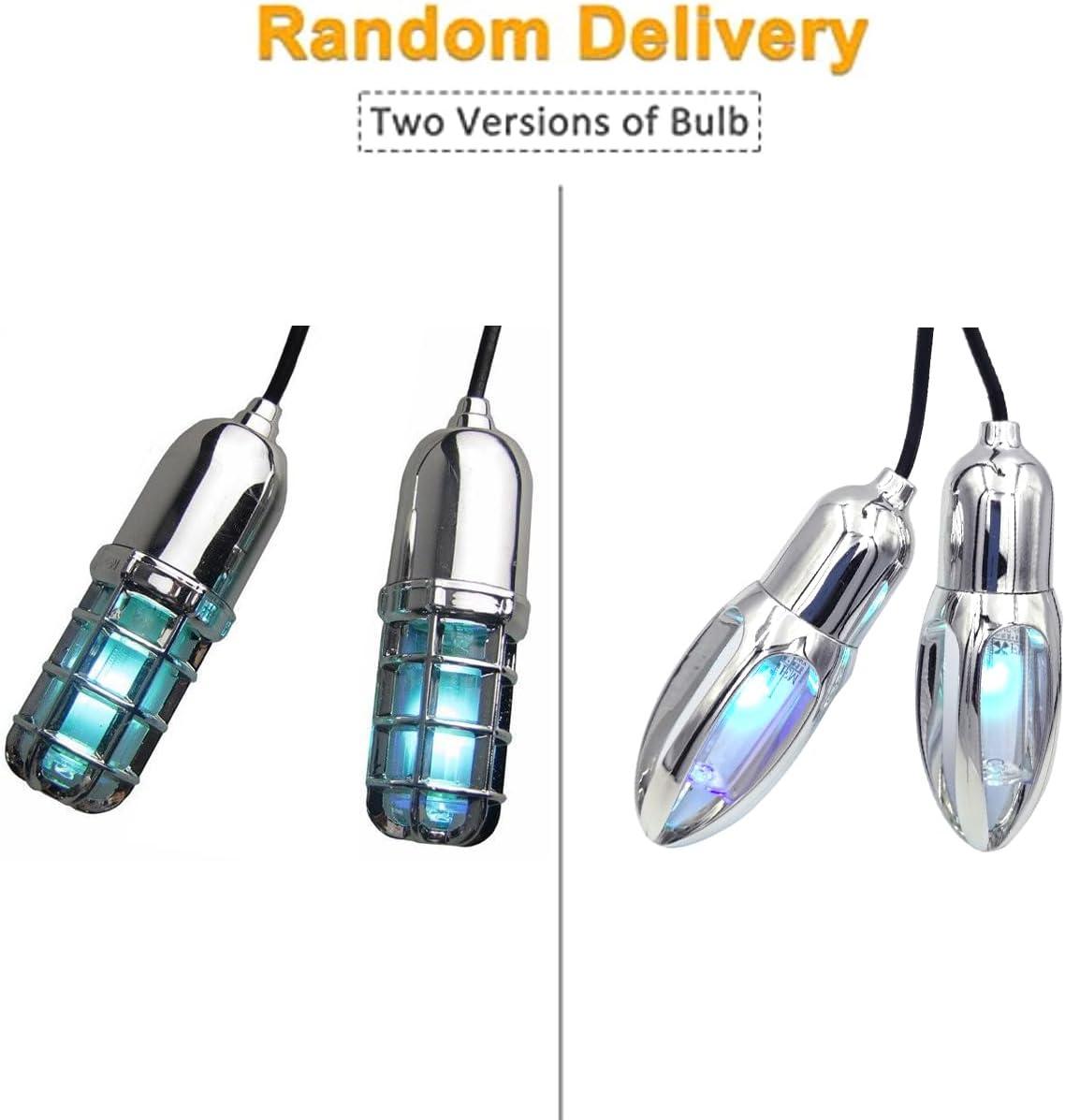 UV Shoe Sanitizer: 99.9% Sterilization with Ultraviolet Light & Ozone ...