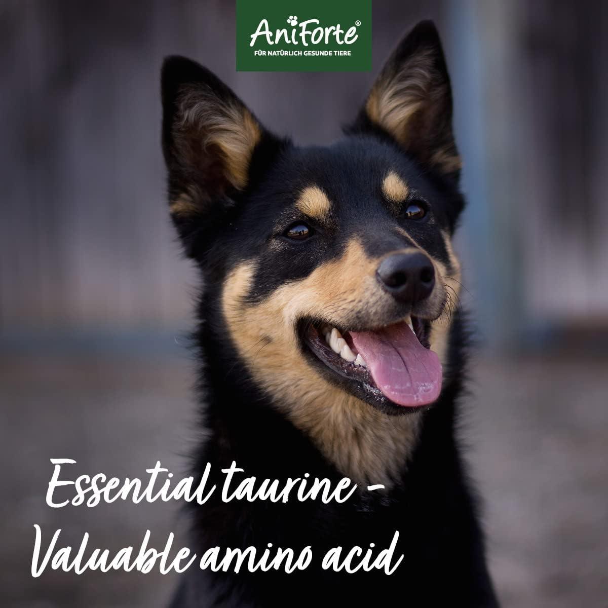 AniForte Taurine for Dogs 100g - Amino Acid Supplement for Muscle ...