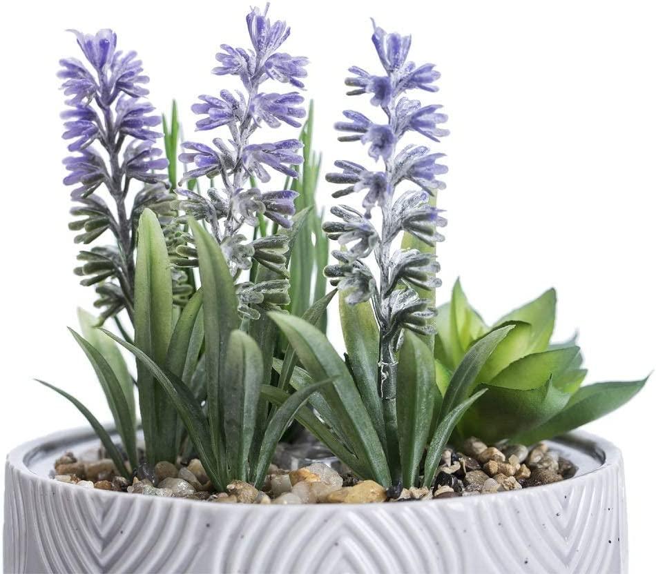 Artificial Succulent Plants Potted Essential Oil Diffuser with 7 Colors ...