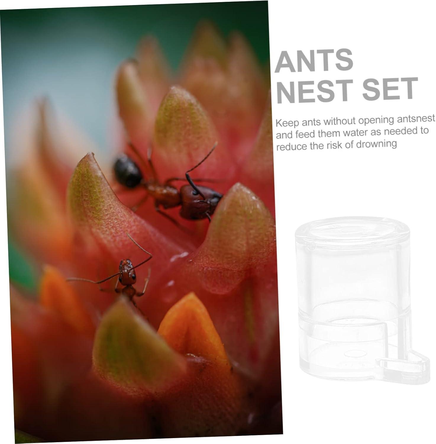 Minkissy Pet Water Ant House - Ant Farming Castle & Habitat Kit for ...