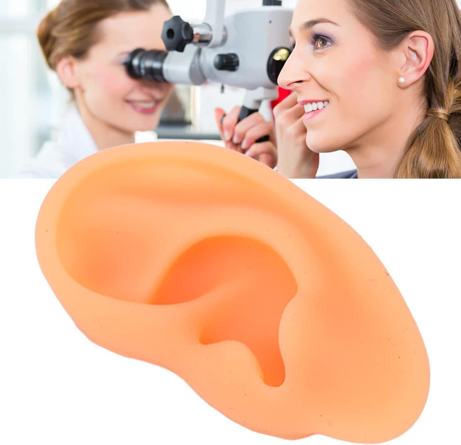 Silicone Ear Display Mould - Lifelike Educational Model for Hospital ...