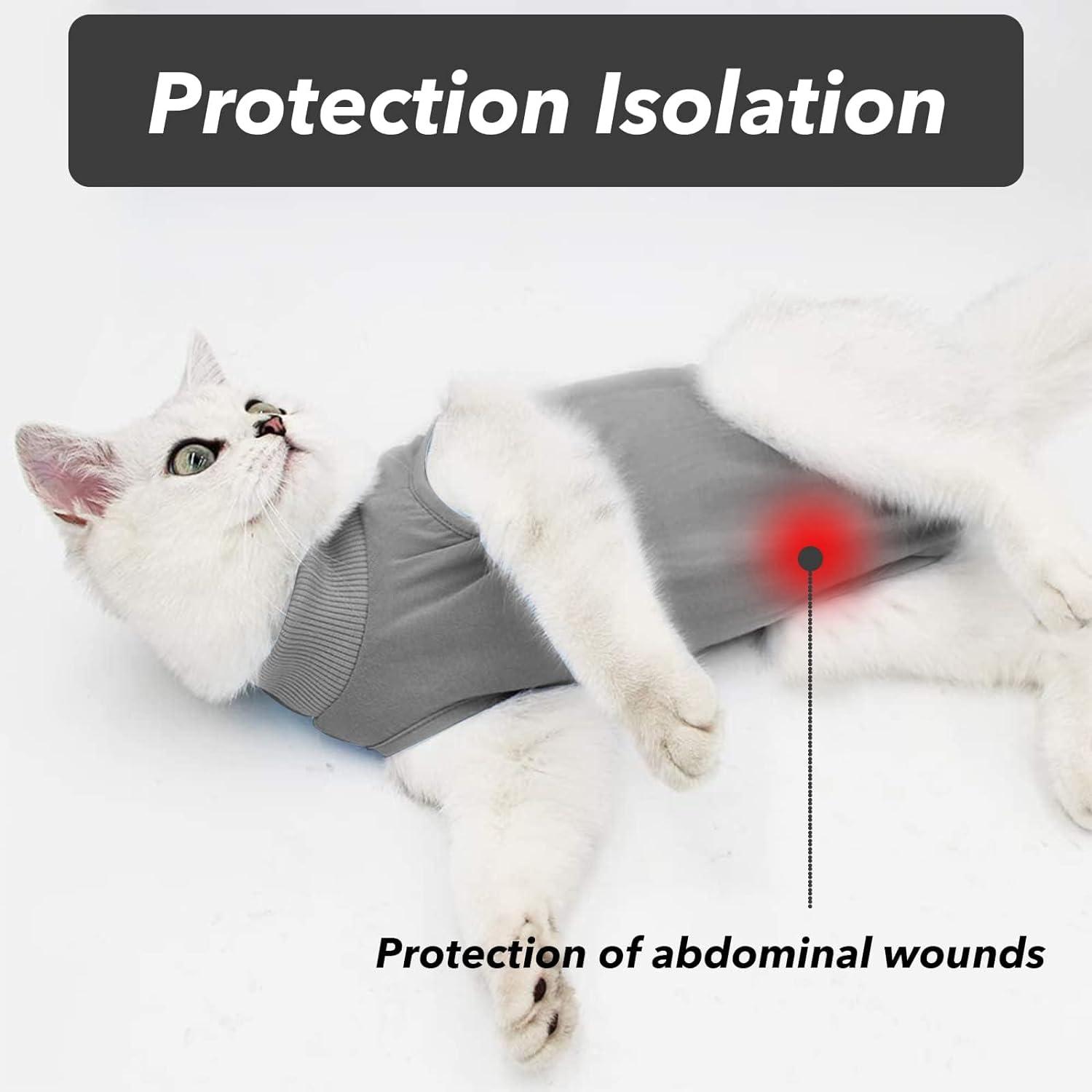 Premium Katzenbody for Cats | Post-Surgery Recovery Suits & E-Collar ...