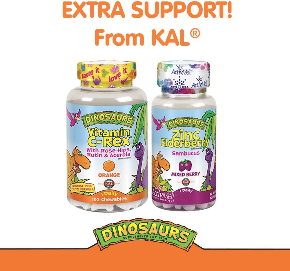 Buy KAL Dinosaurs Vitamin C-Rex Chewables with Rose Hips & Acerola ...
