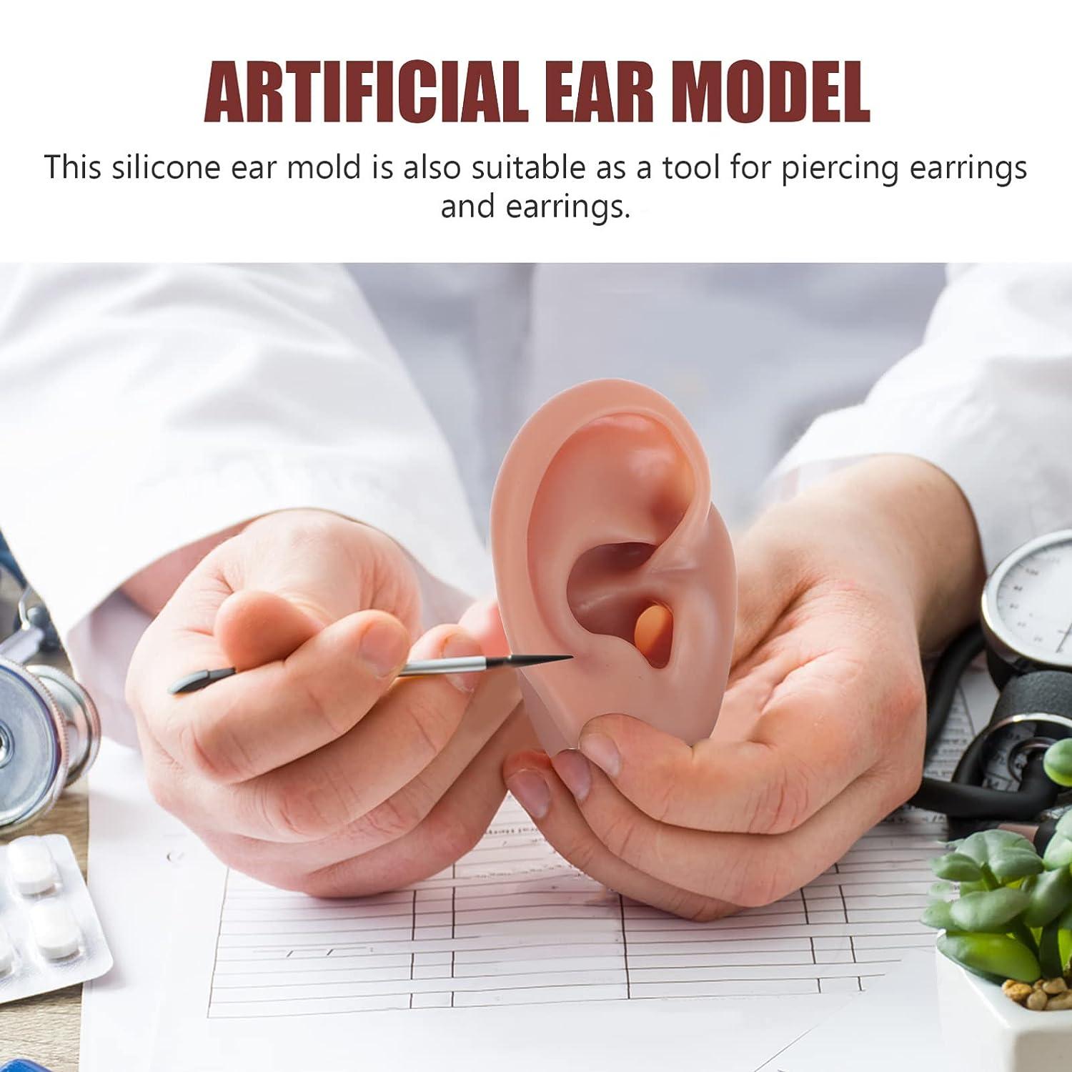 Kichvoe Piercing Kit - Silicone Human Ear Model Display - Right Ear ...