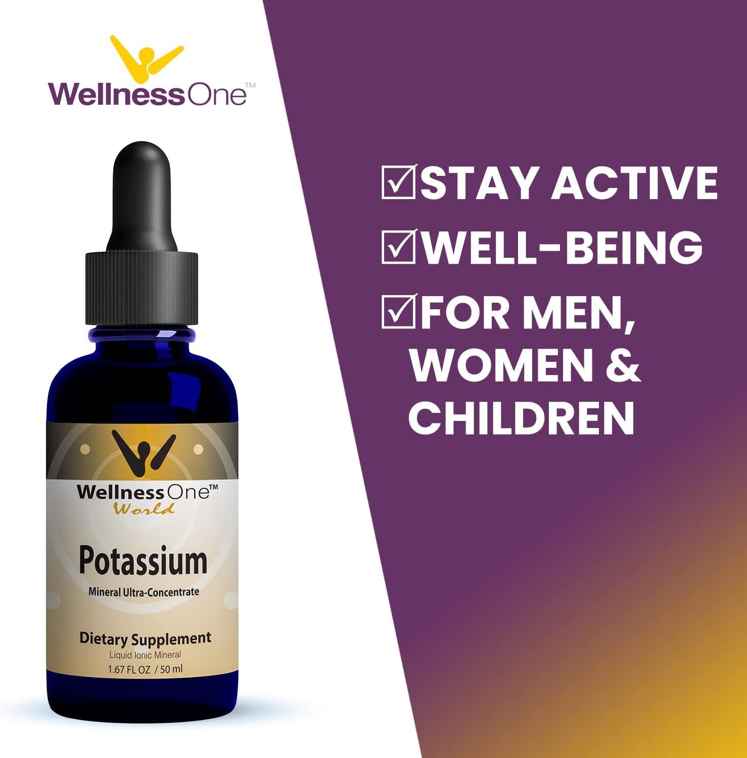 WellnessOne Liquid Potassium Supplement - Supports Metabolic Function ...
