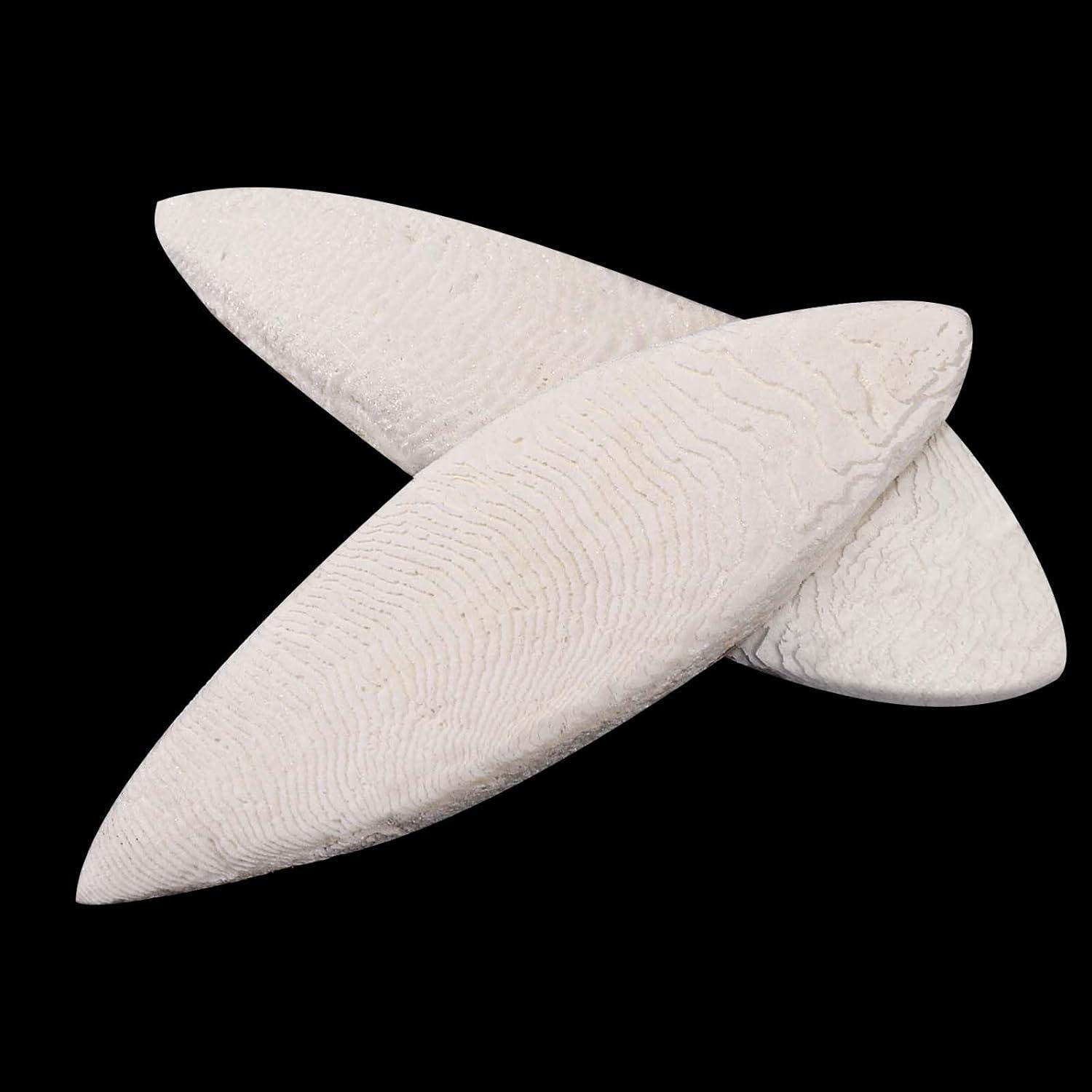 Zuimei 6 Pcs Cuttlefish Bone Parrots Chew Toys Natural Cuttlebone Toys ...