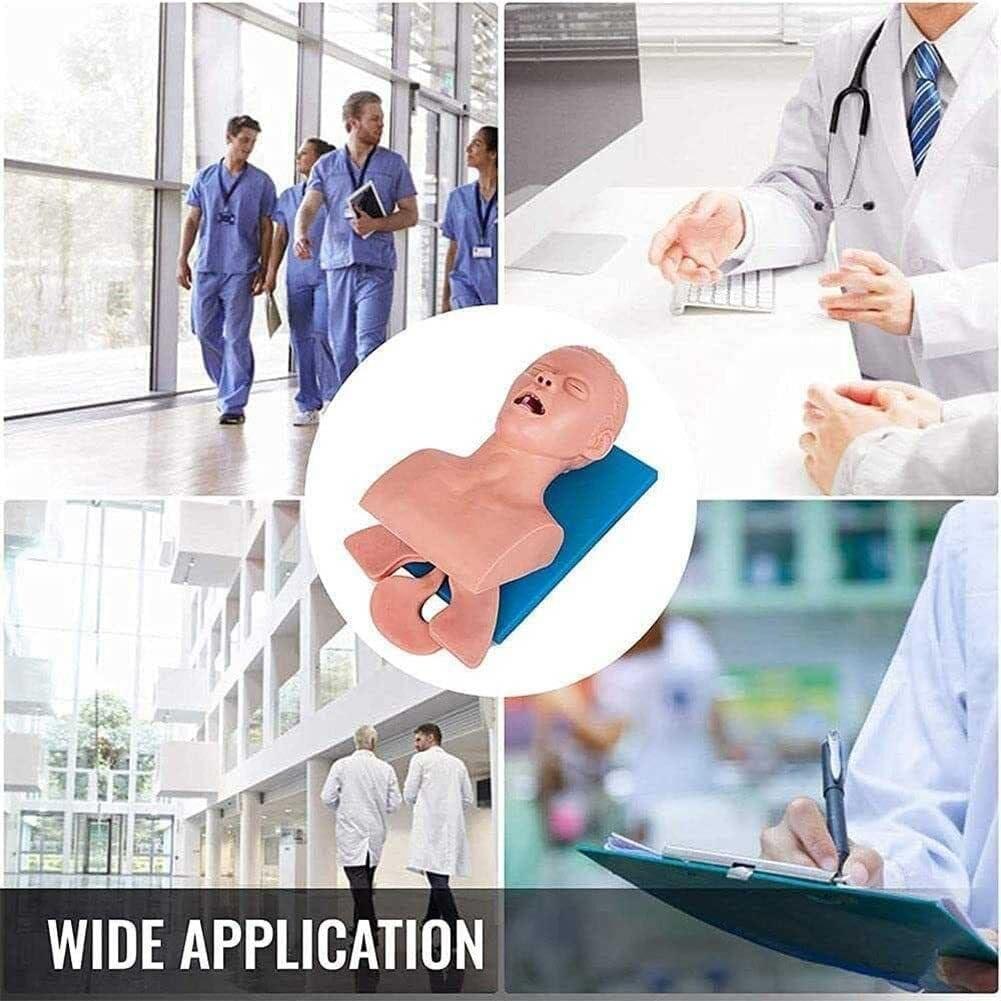 Adult Intubation Model - Realistic Tracheal Intubation Simulator for ...