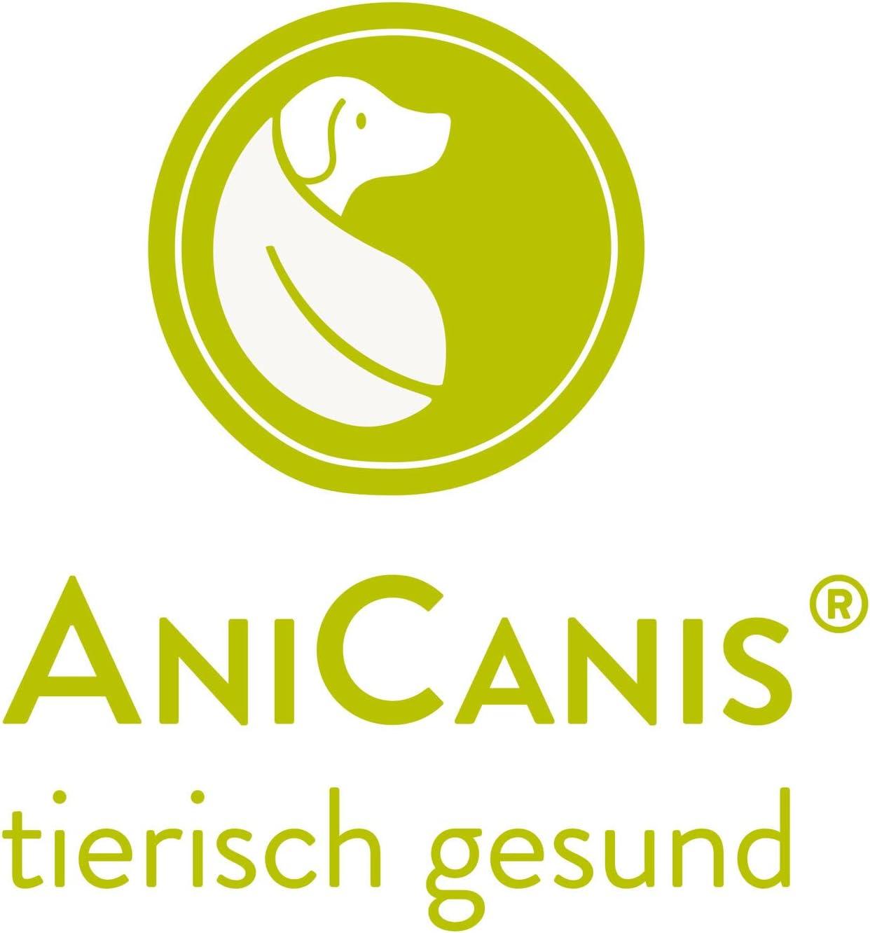 Buy Anicanis Organic Psyllium for Dogs & Cats - Natural Fiber Powder ...
