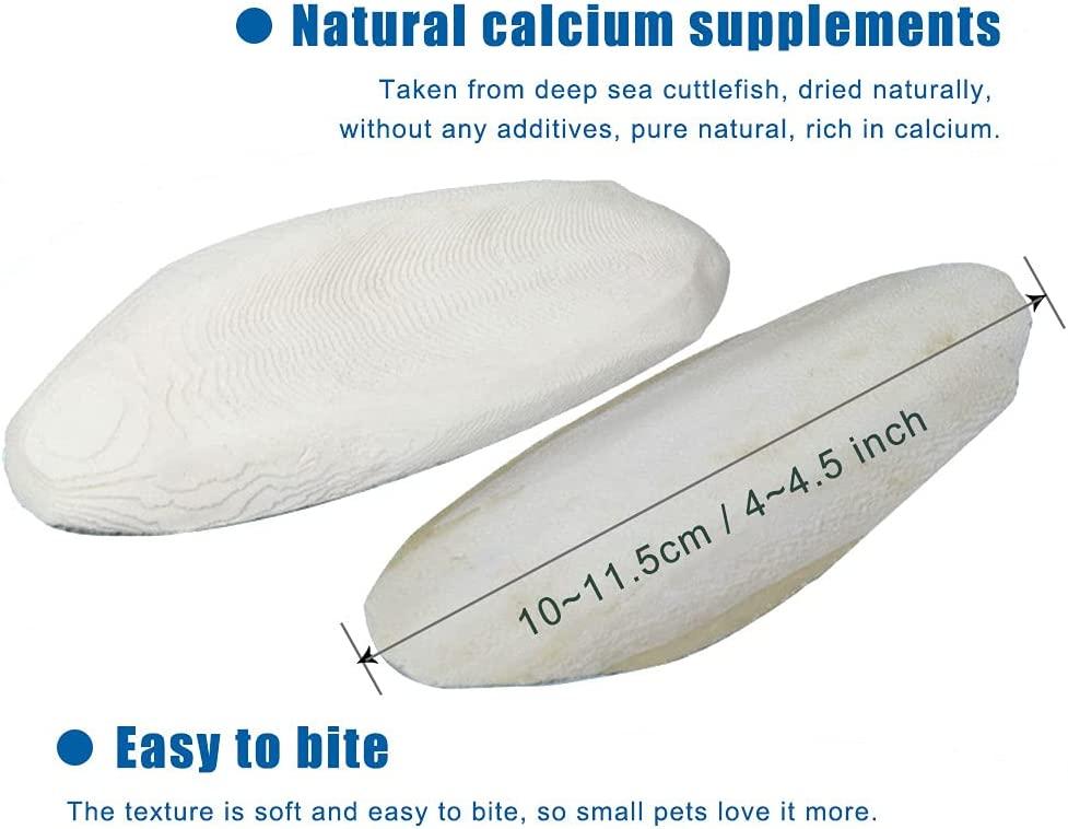 Mivofun Natural Cuttlebone for Tortoise, Turtles, Birds & Small Animals ...