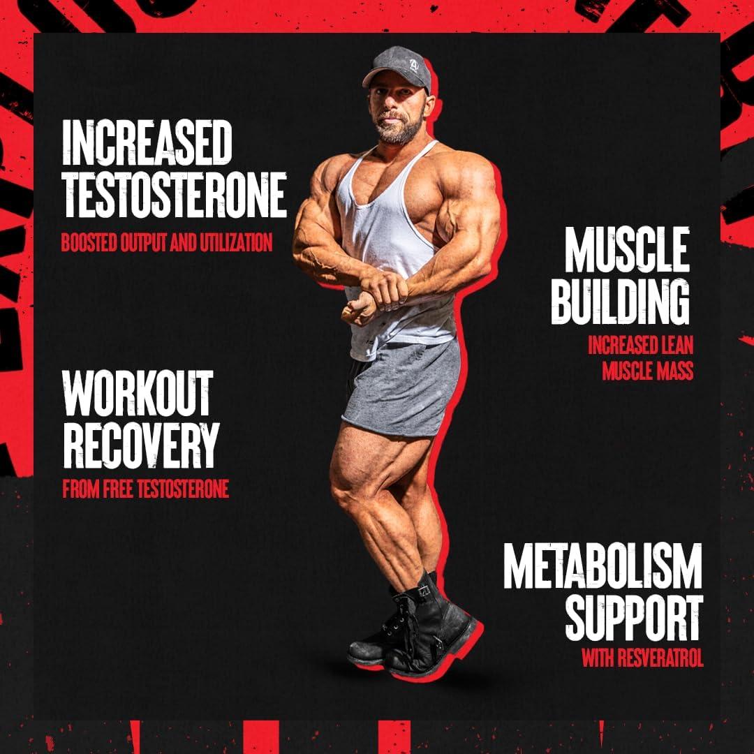 Animal Test Testosterone Booster 21 Day Cycle & M-Stak Hard Gainer ...