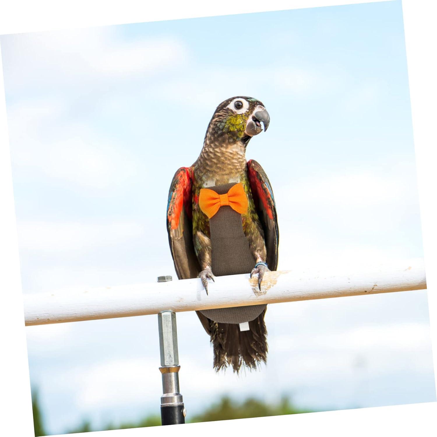 PopetPop 3-Pack Flying Bird Diapers for Parrots | Cotton Pet Bird ...