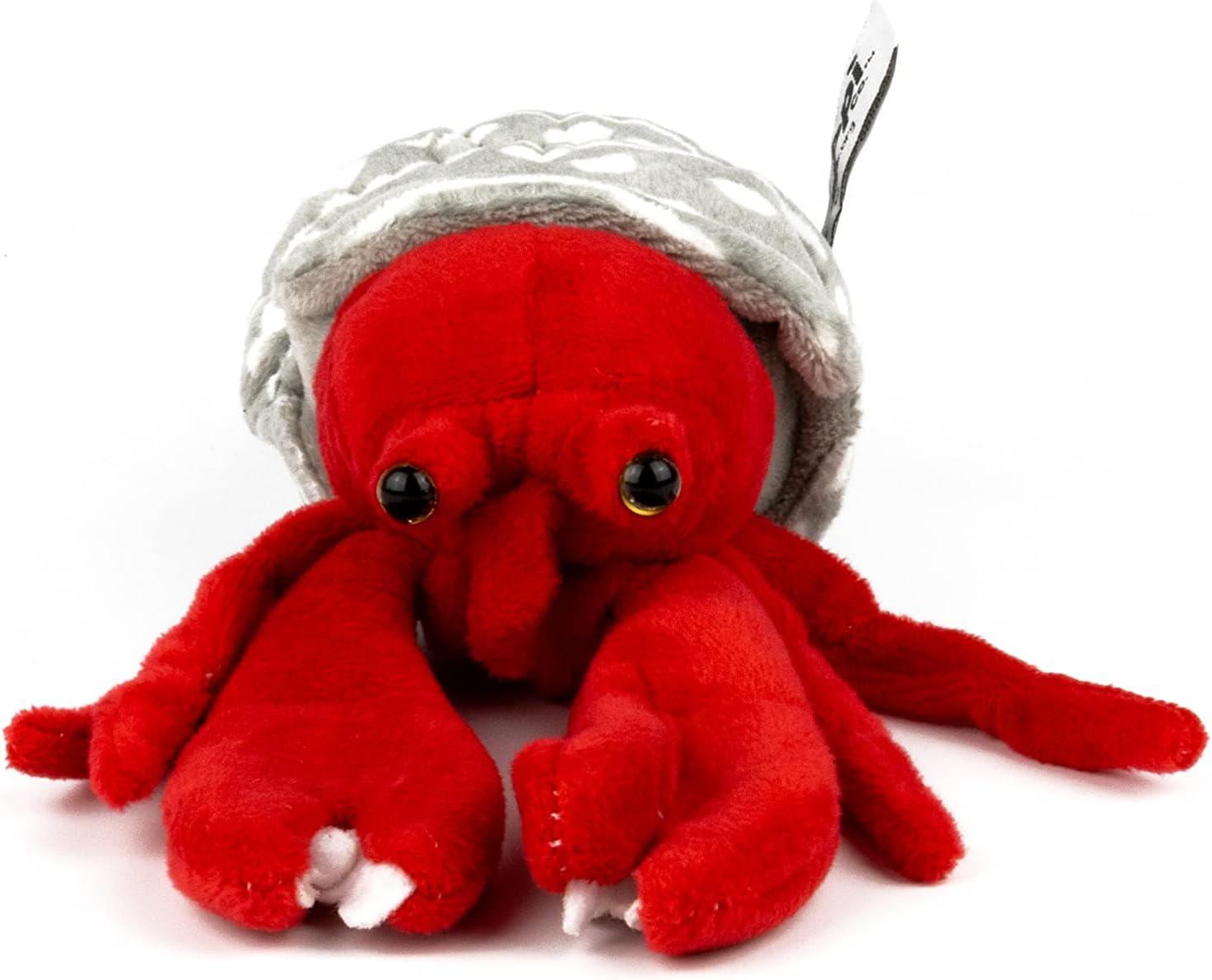 Zappi Co Hermit Crab Plush Toy - Safari Animals Collection (25cm) | Buy ...