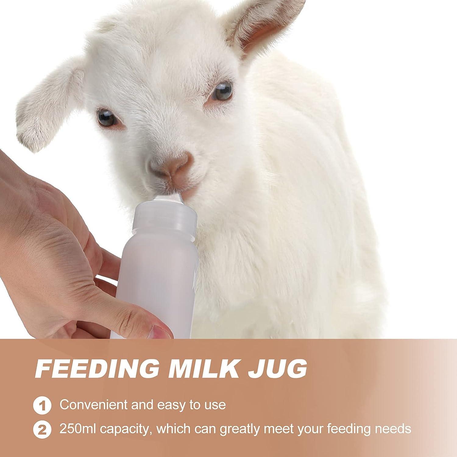 6pcs 250ml Calf Feeding Bottles | Lamb Goat Milk Feeder Set | Baby ...