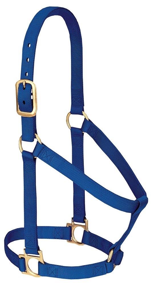 Weaver Leather Basic Nylon Horse Halter - Blue (Average Size) | Buy Now ...