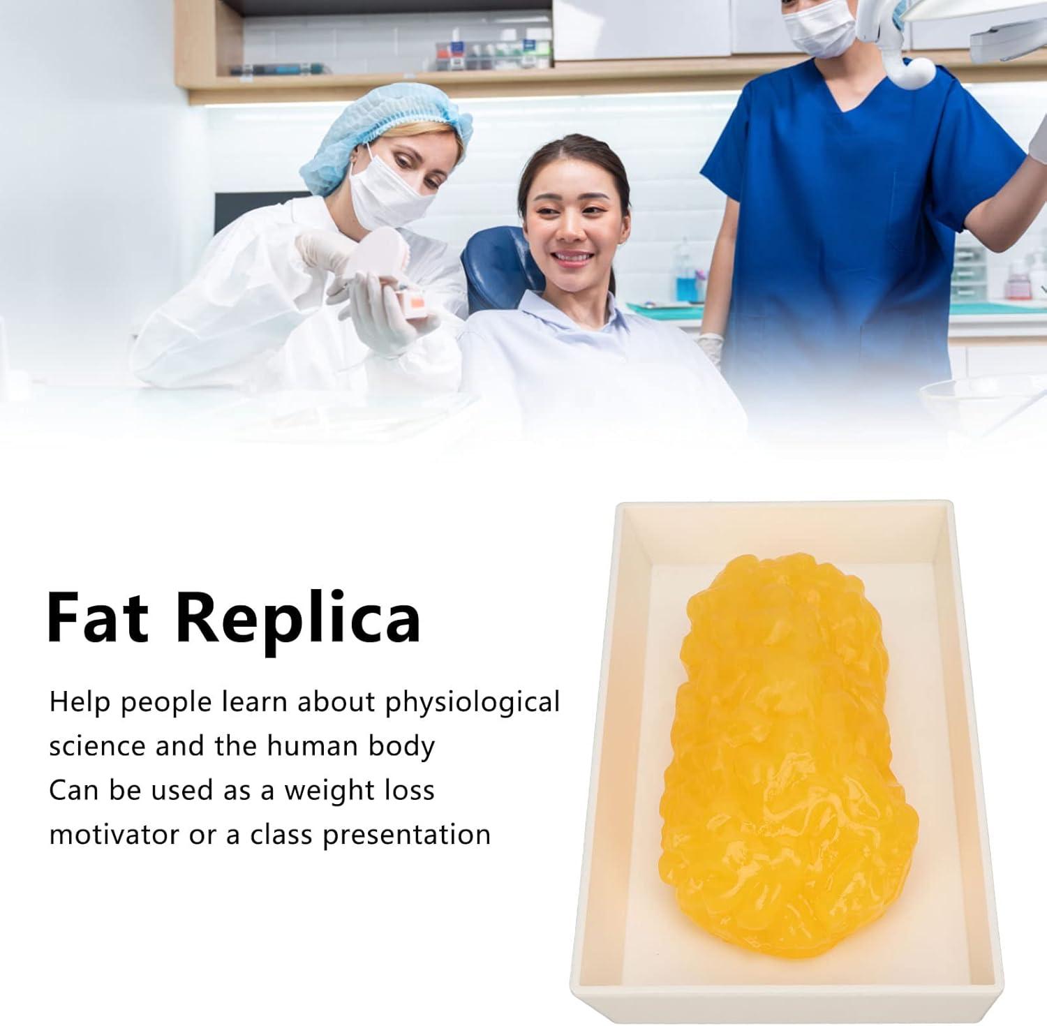 Fat Replica 1 Lb Real Soft Touch Fat Model A True Replica of Human ...