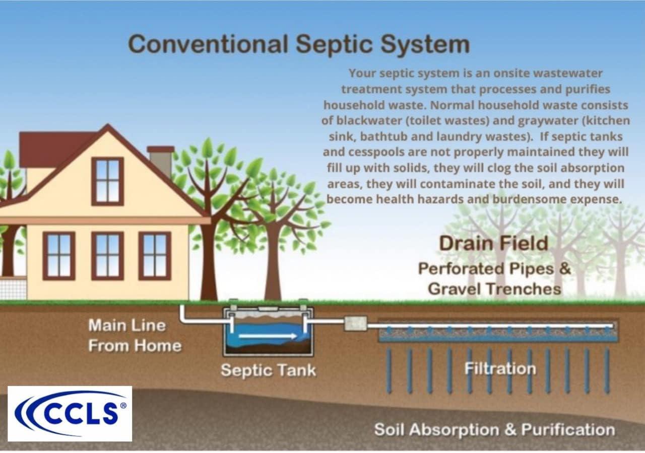 Organic Septic Tank Treatment - Enzyme Producing Bacteria for Cesspools ...
