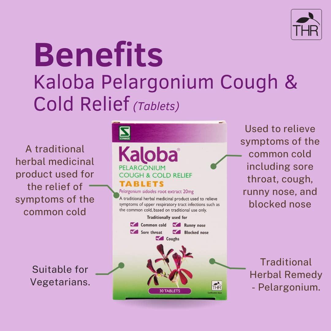 Kaloba 30 Tablets - Natural Immune Support Supplement | Buy Now with ...