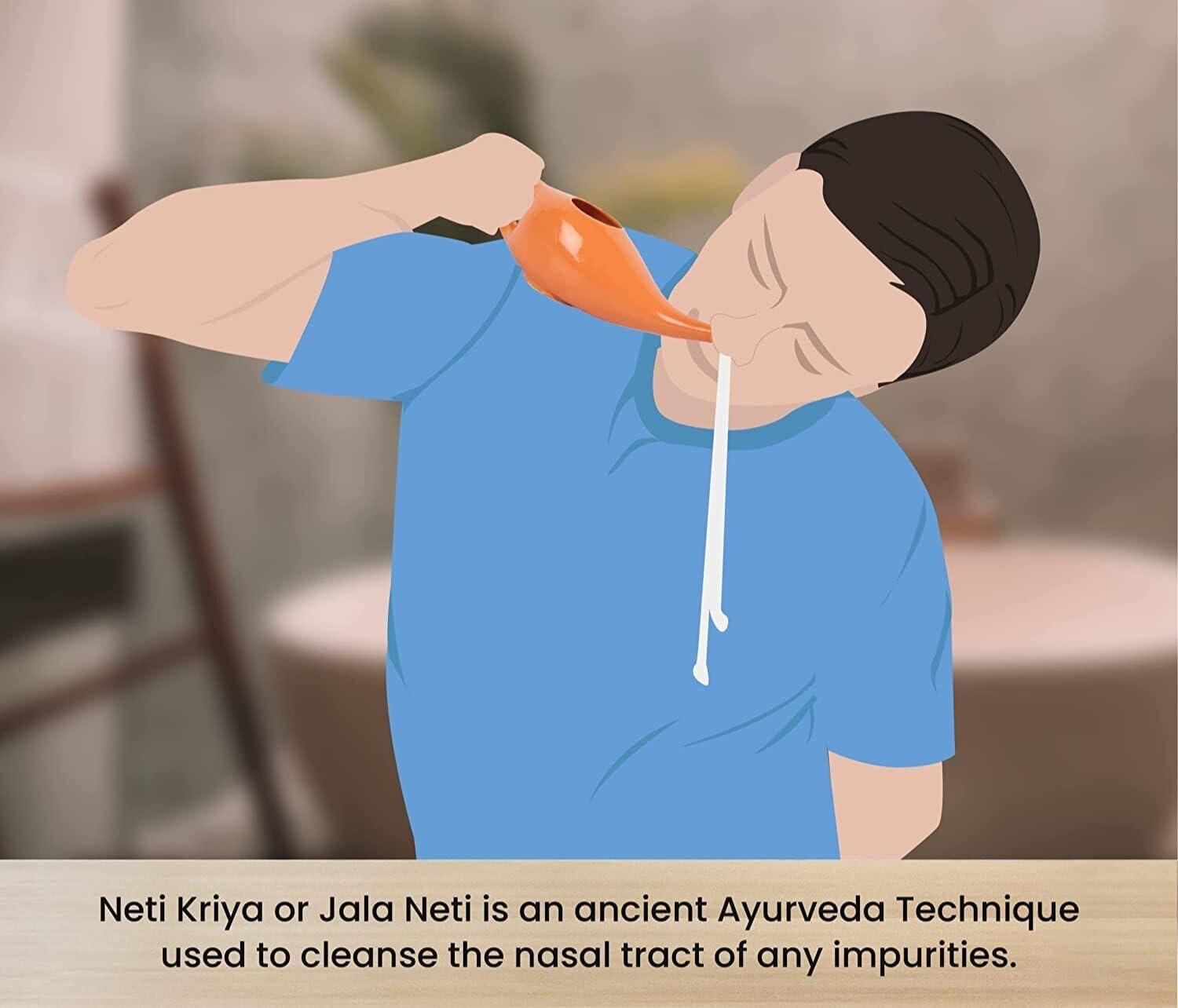 RSGM Copper Ayurvedic Jal Neti Pot for Sinus Congestion Nasal Cleaning ...