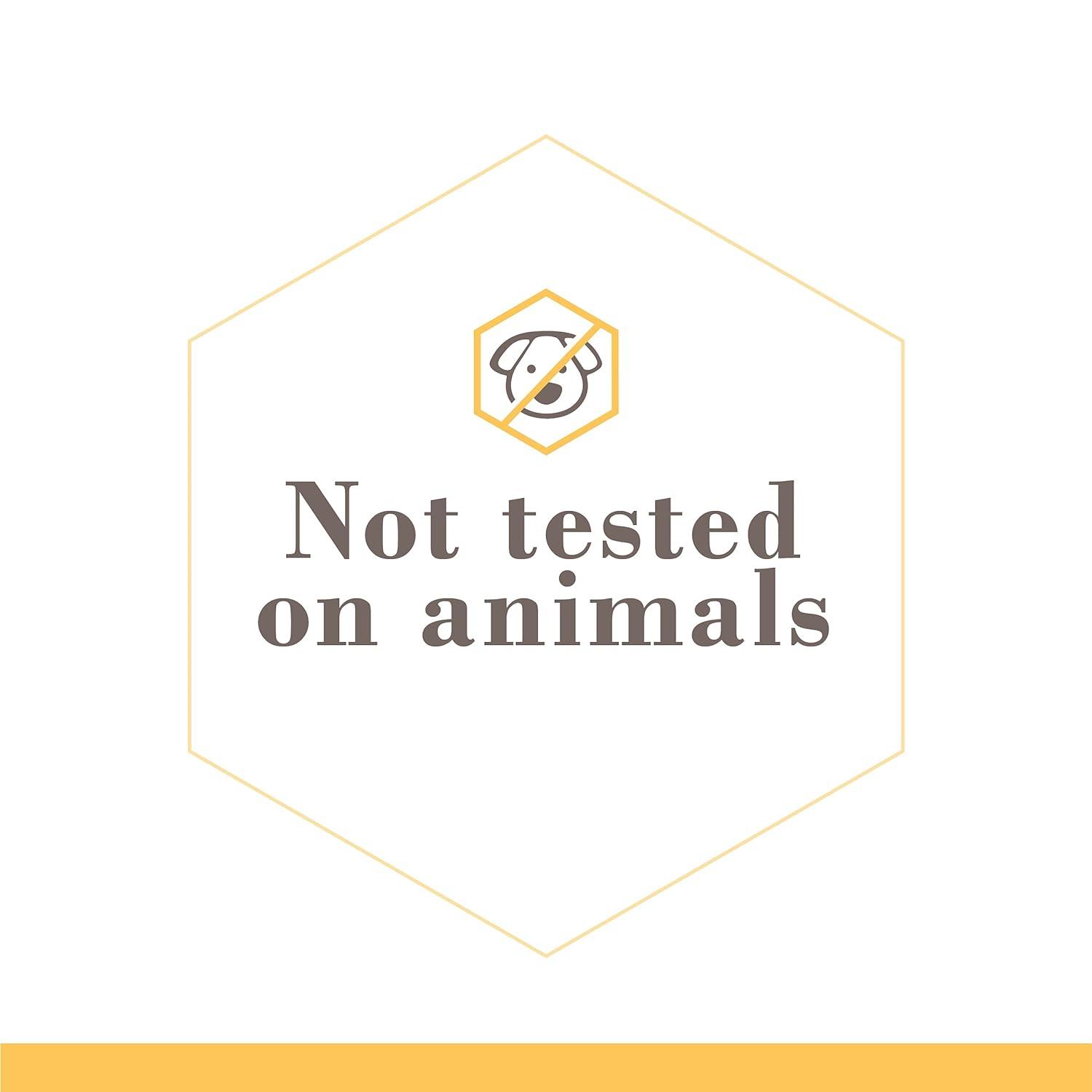 Burt's Bees Kids Fluoride-Free Bubblegum Toothpaste 4.7oz - Pack of 4 ...