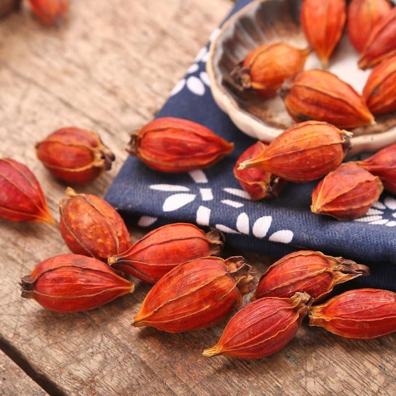 Gardenia Jasminoides Ellis Fructus Gardeniae Dried Gardenia Gardenia ...