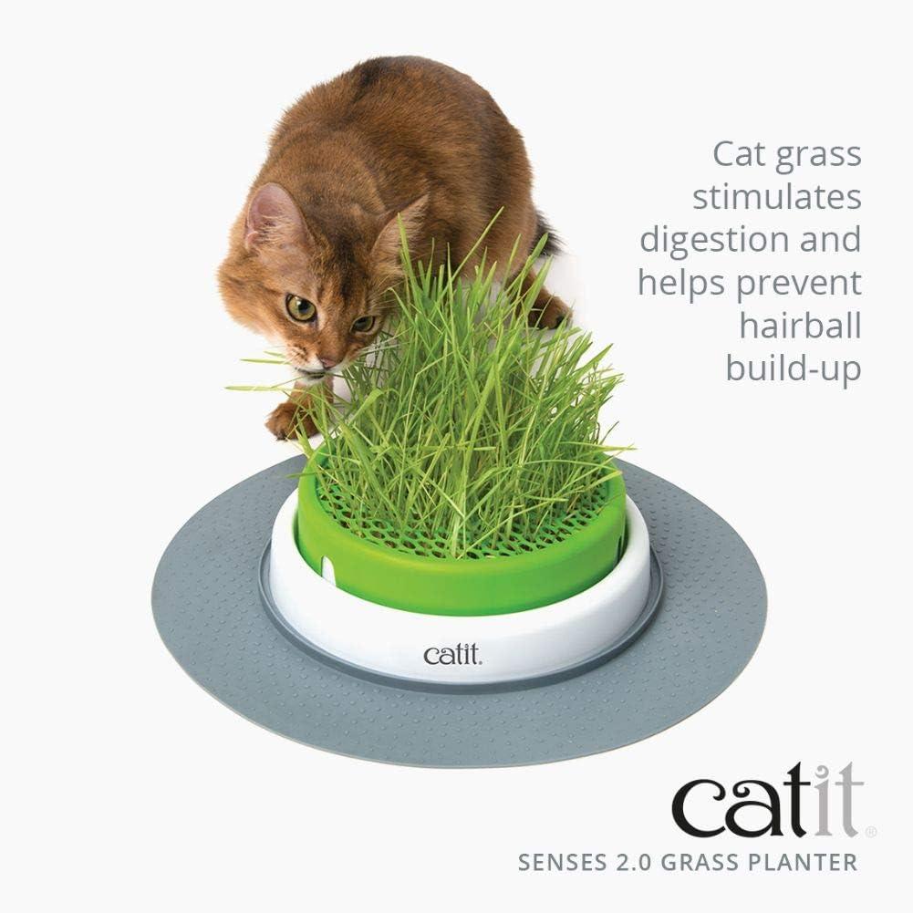 Catit Play Track Super - Ultimate Super Circuit & Grass Planter for ...