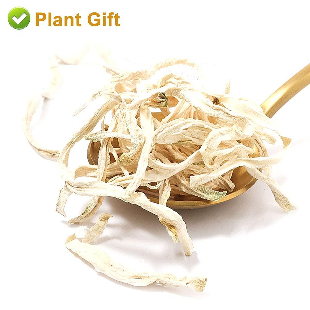 Buy 100% Organic Dried Papaya - 30g Natural Herbs for Digestion Enzymes ...