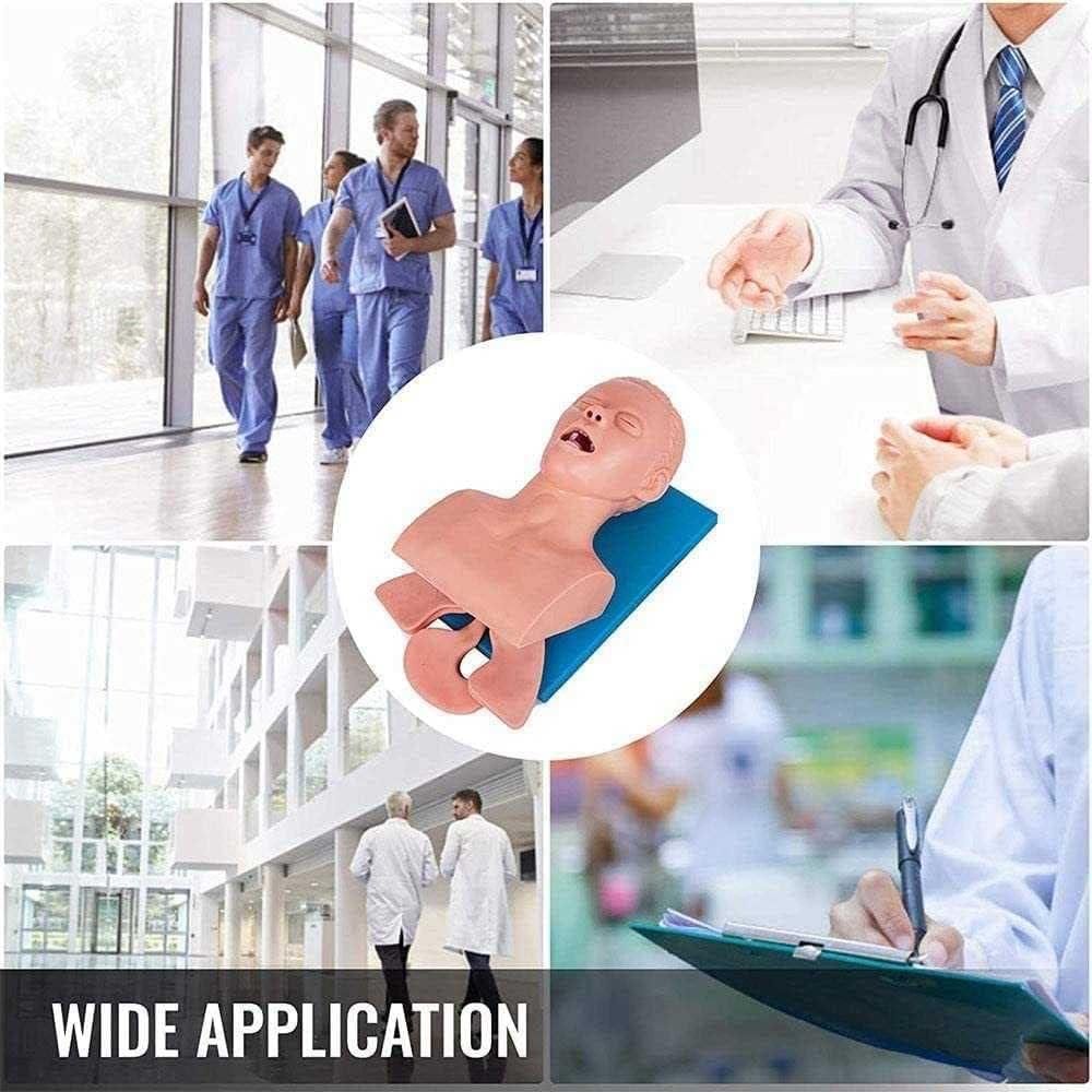 Tracheal Intubation Simulator | Oral Nasal Airway Management Trainer ...