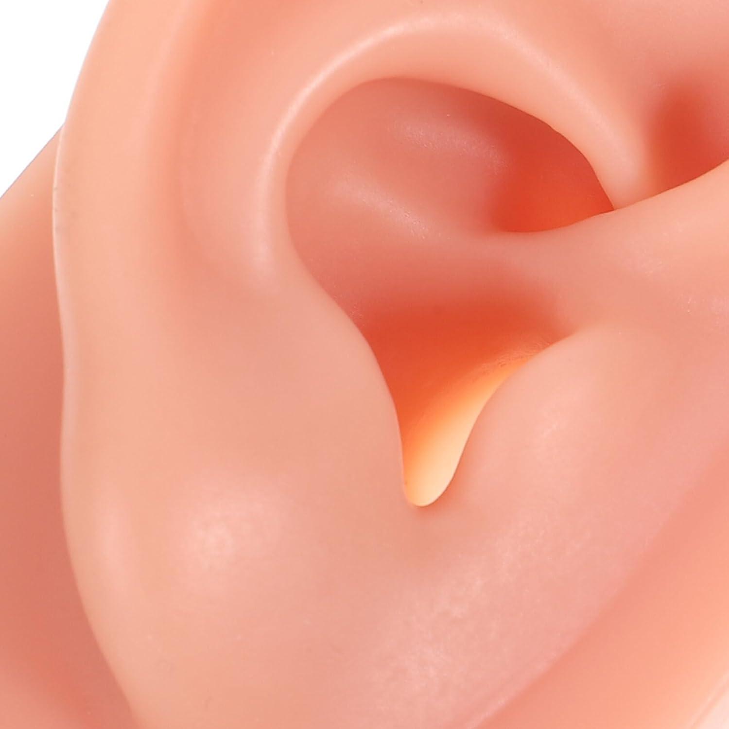 Beaupretty 3D Silicone Ear Model for Acupuncture & Massage Practice ...