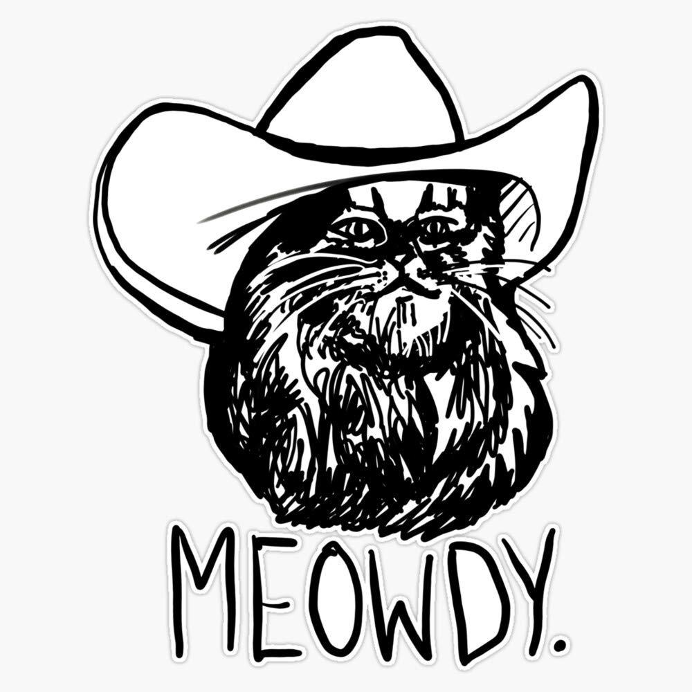 Leyland Designs Meowdy Texas Cat Meme Sticker - Outdoor Rated Vinyl ...