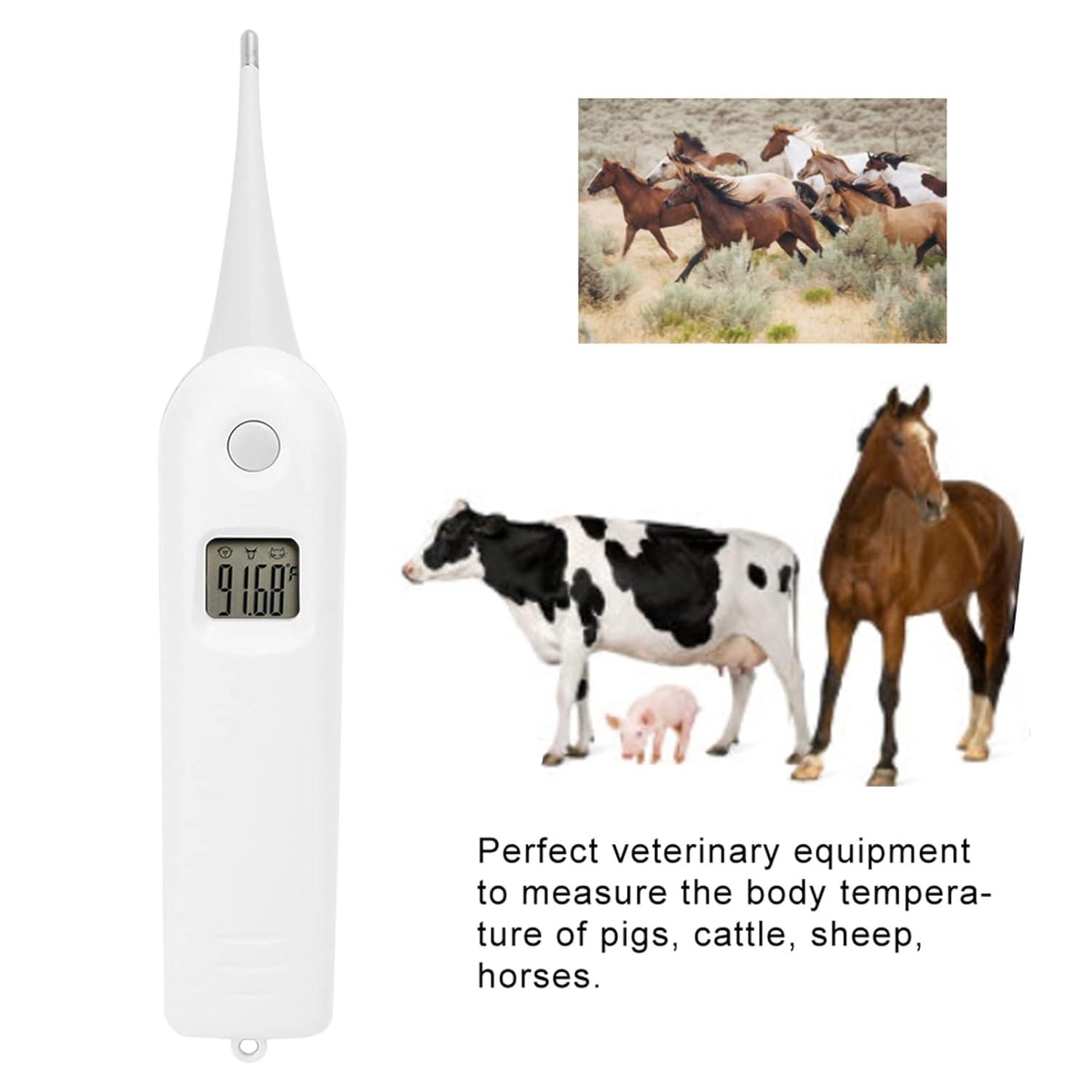 Pet Thermometer Dog Thermometer Fast Digital Veterinary Thermometer for ...