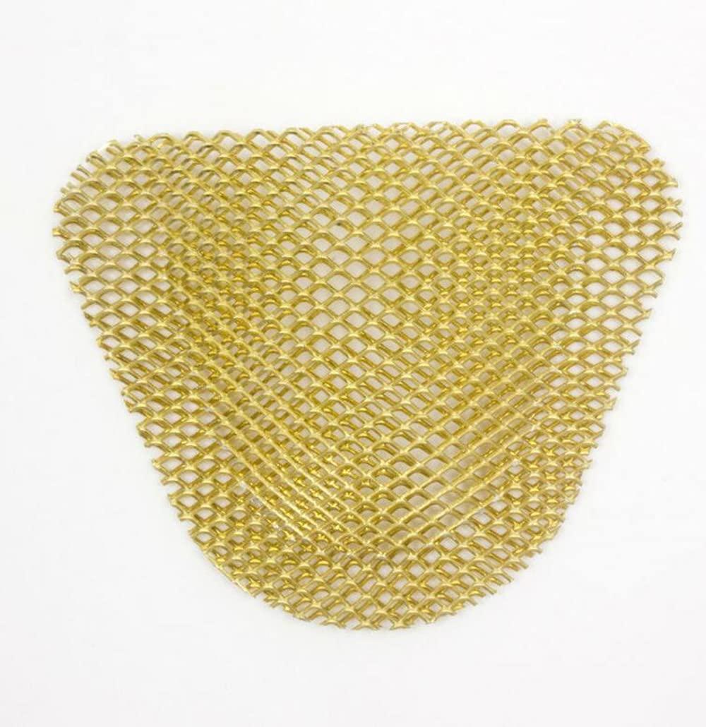 20 Pcs Golden Metal Palatal Reinforcement Mesh for Acrylic Partial ...