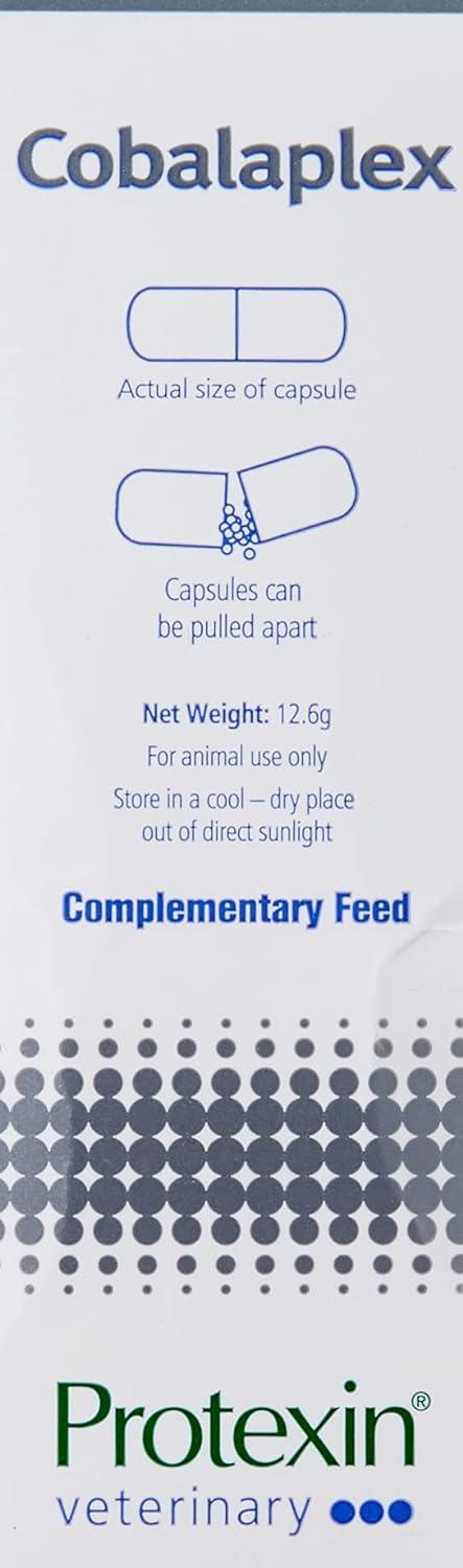 Protexin Cobalaplex Dogs and Cats 60 Capsules | Buy Now with Express ...