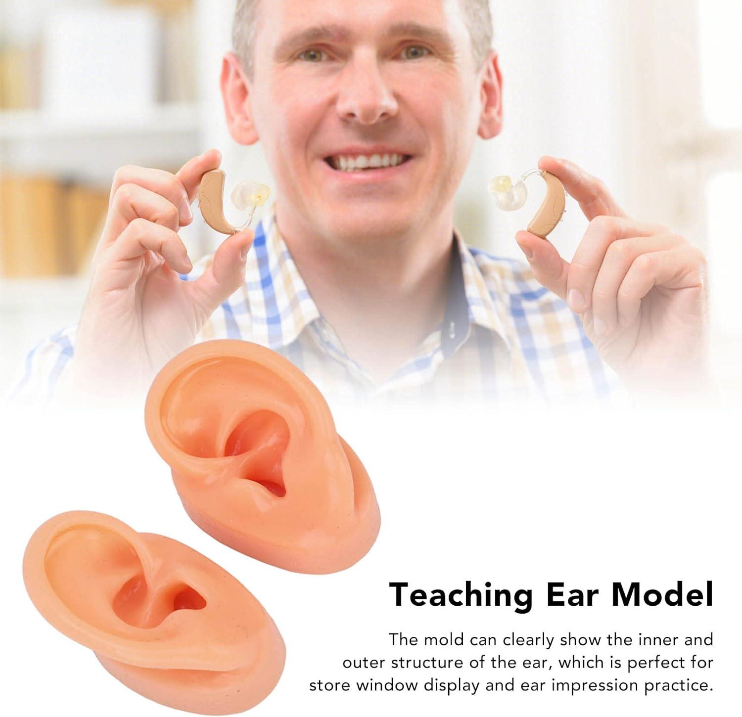 Teaching Ear Model Soft Waterproof Simulated Ear Model for Doctors for ...
