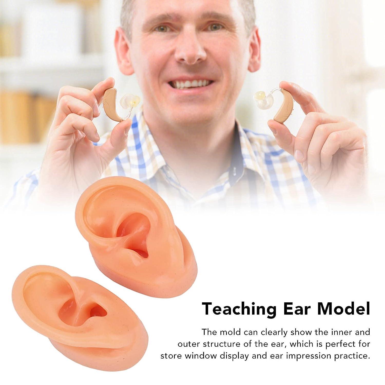 Silicone Human Ear Model for Hearing Aids IEM Earphones Display ...