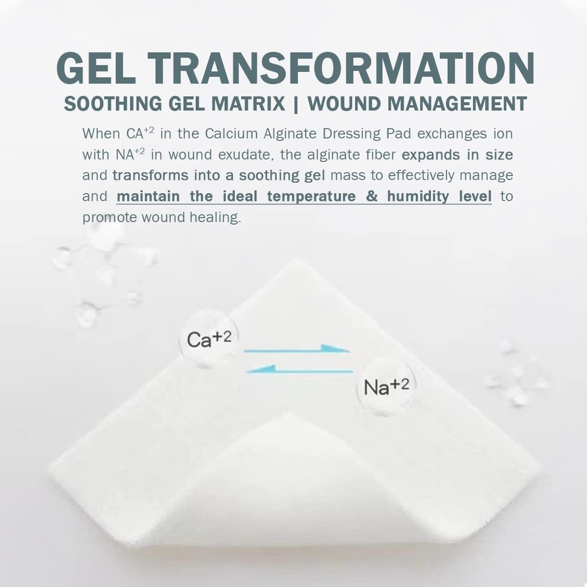 alginate dressing sizes
